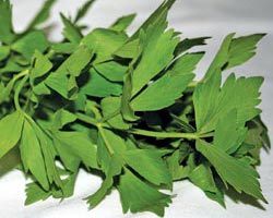 Leustean | avantaje.ro