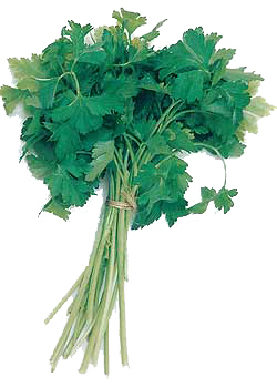 Patrunjelul | avantaje.ro