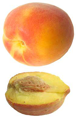 Piersicile | avantaje.ro