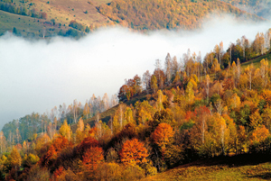 Pastel de toamna in Muntii Apuseni | avantaje.ro